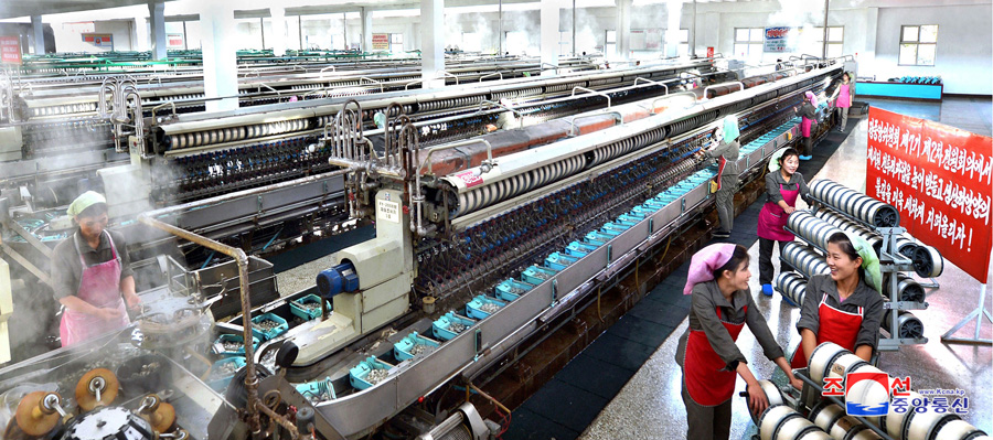 Market Reforms with North Korean Characteristics: Loosening the Grip on ...