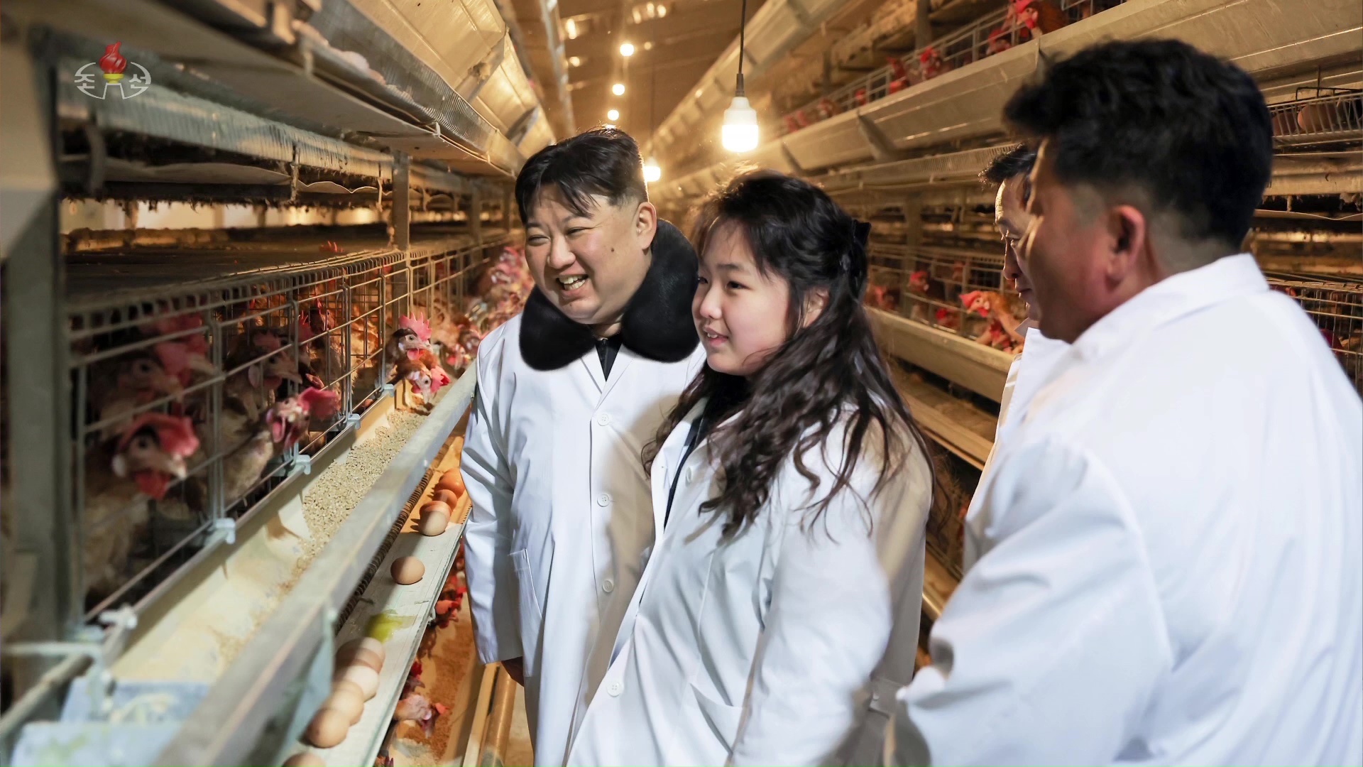 North Korea’s Model Chicken Farm Opens With Plans for More - 38 North ...